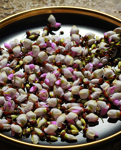 Karanja Oil Cold Press